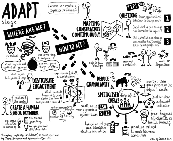 Field guide to managing complexity (and chaos) in times of crisis ...